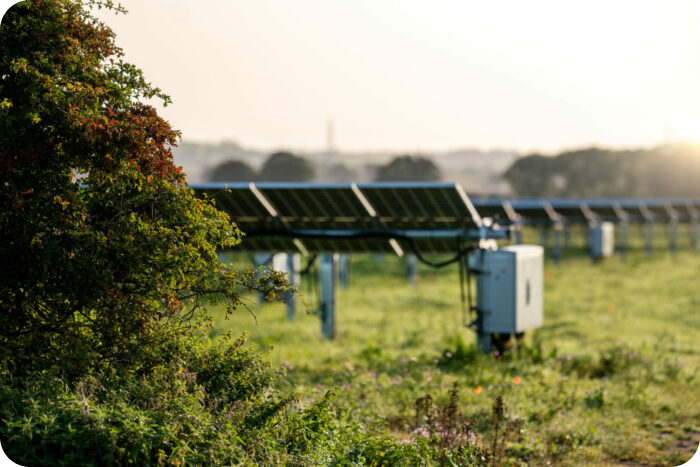 GRIDSERVE | Hybrid solar farms